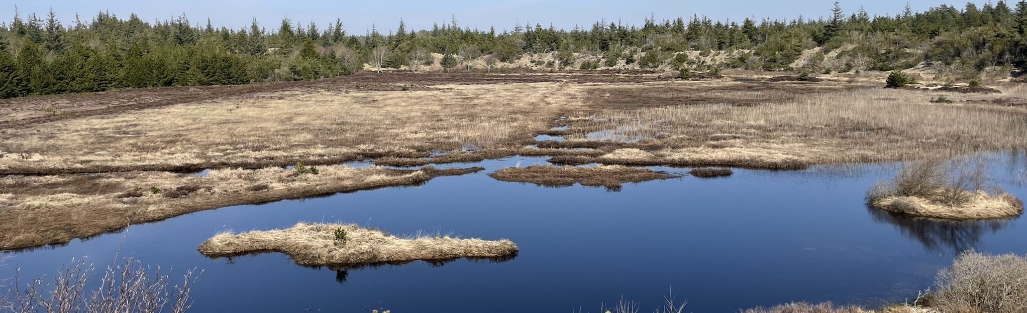 Stenbjerg Plantage - Yellow Trail, North Denmark Region, Denmark - 10 ...