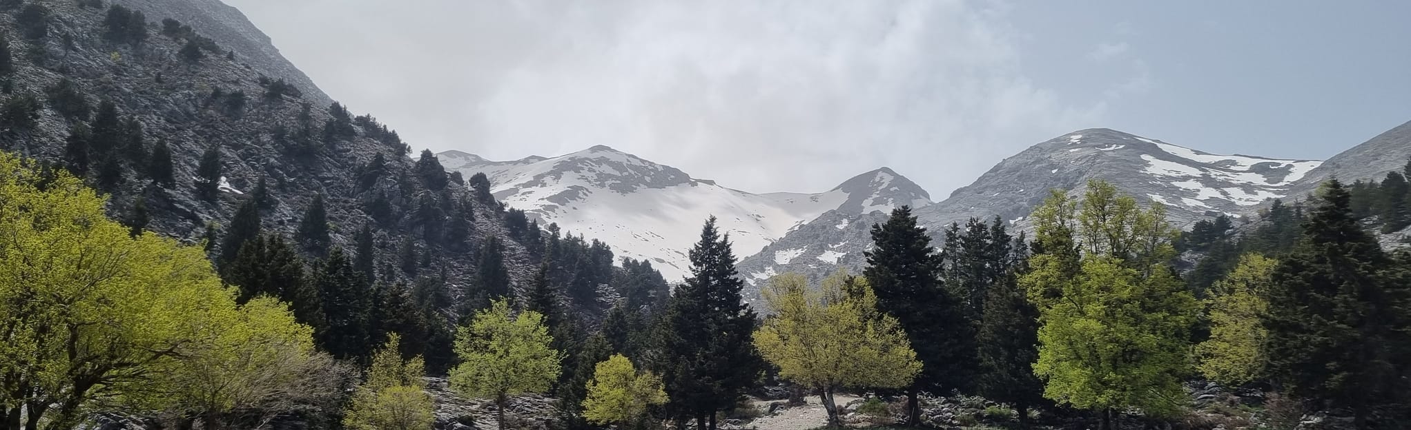 Psichro Pigadi - Mavri Summit, Crete, Greece - Map, Guide | AllTrails