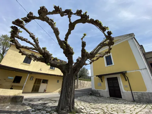 Best Historic Site Trails in Gioia Sannitica | AllTrails