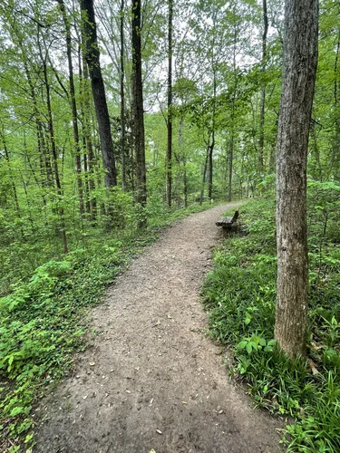Best Walking Trails in Decatur | AllTrails