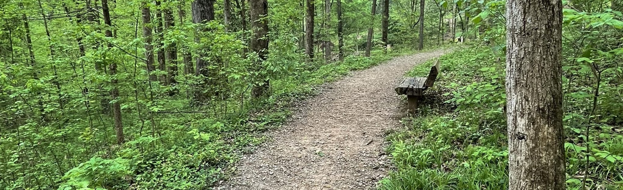 Deepdene Park Paths, 75 Fotos - Georgia | AllTrails