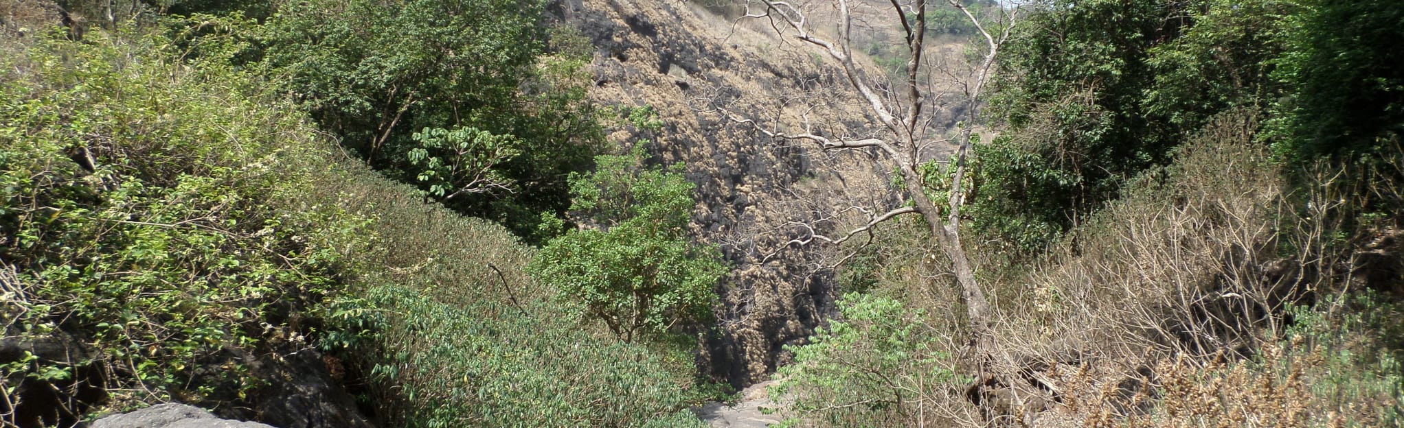 Plus Valley Waterfall Trek : 14 Photos - Maharashtra, Inde | Randonnée ...