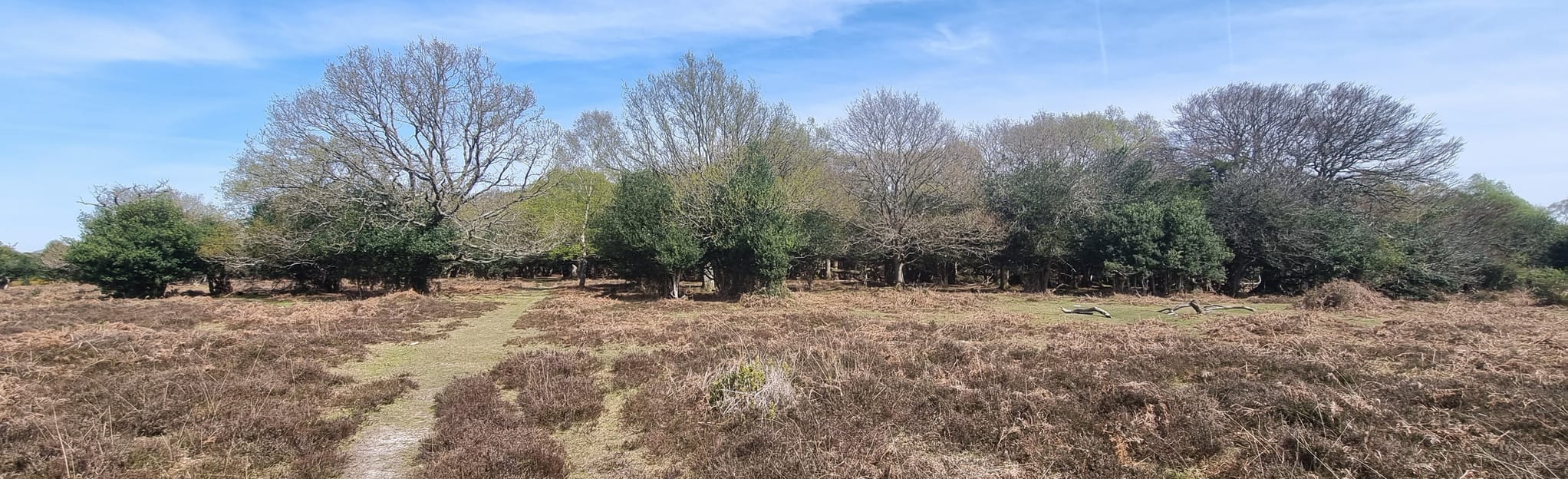 Piper Wait Circular, Hampshire, England - 25 Reviews, Map | AllTrails