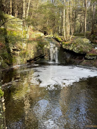 Best Hikes and Trails in Pulpit Rock Conservation Area | AllTrails