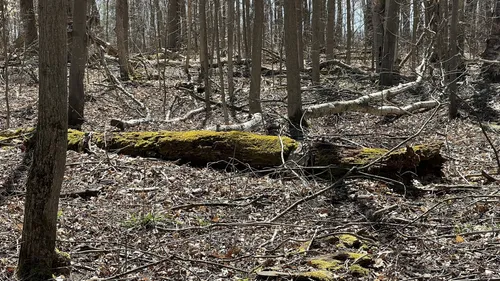 Best Hikes and Trails in Long Sault Conservation Area | AllTrails