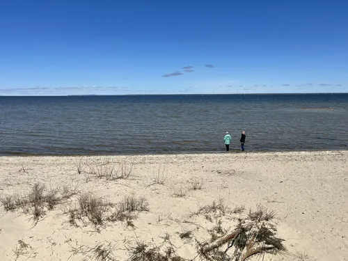 Best Hikes and Trails in Duncan Bay Nature Preserve | AllTrails