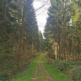 Kempley to Dymock Circular, Gloucestershire, England - 19 Reviews, Map ...