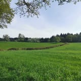 Kempley to Dymock Circular, Gloucestershire, England - 19 Reviews, Map ...