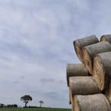 Kempley to Dymock Circular, Gloucestershire, England - 19 Reviews, Map ...