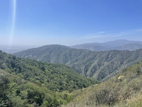 Best Hikes and Trails in Potrero Reserve | AllTrails