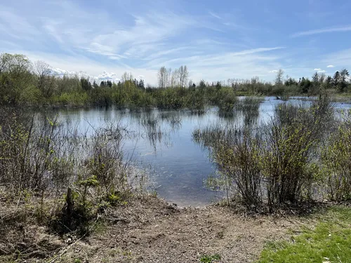 Best Hikes and Trails in Jackman Wetlands Park | AllTrails