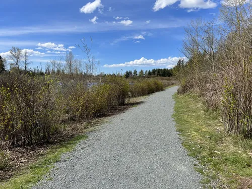 10 Best Trails and Hikes in Langley | AllTrails