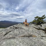 Little Lost Cove Cliffs, North Carolina - 147 Reviews, Map | AllTrails