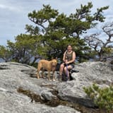 Little Lost Cove Cliffs, North Carolina - 147 Reviews, Map | AllTrails