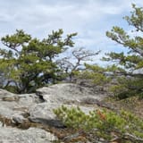 Little Lost Cove Cliffs, North Carolina - 147 Reviews, Map | AllTrails