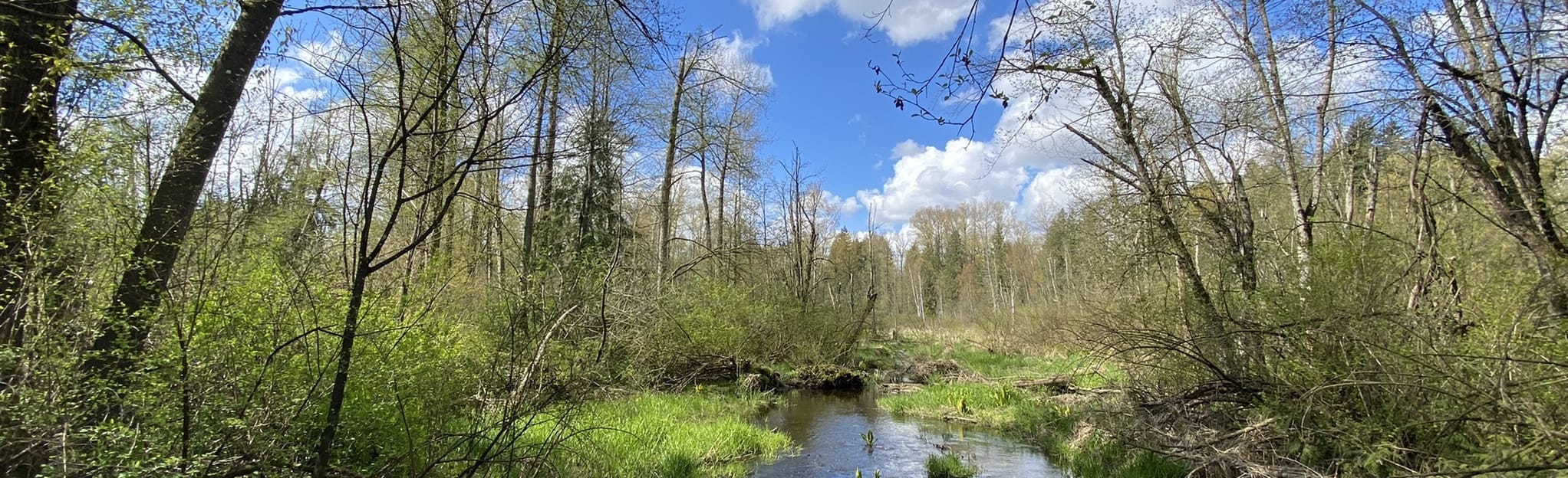 Aldergrove West Loops, British Columbia, Canada - 147 Reviews, Map ...