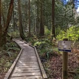 Grand Ridge Park Trail, Washington - 397 Reviews, Map | AllTrails
