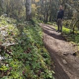 Grand Ridge Park Trail, Washington - 397 Reviews, Map | AllTrails