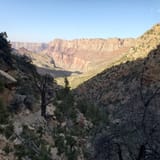 Tanner Trail, Arizona - 233 Reviews, Map | AllTrails