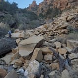 Tanner Trail, Arizona - 233 Reviews, Map | AllTrails