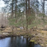 Thunder Swamp Trail: South Loop, Pennsylvania - 71 Reviews, Map | AllTrails