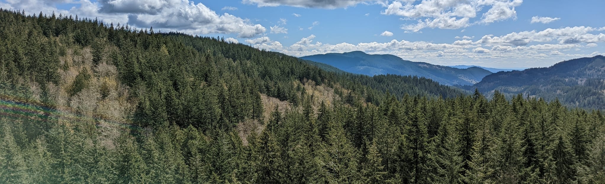 Chuckanut Mountain, Washington - 344 Reviews, Map | AllTrails