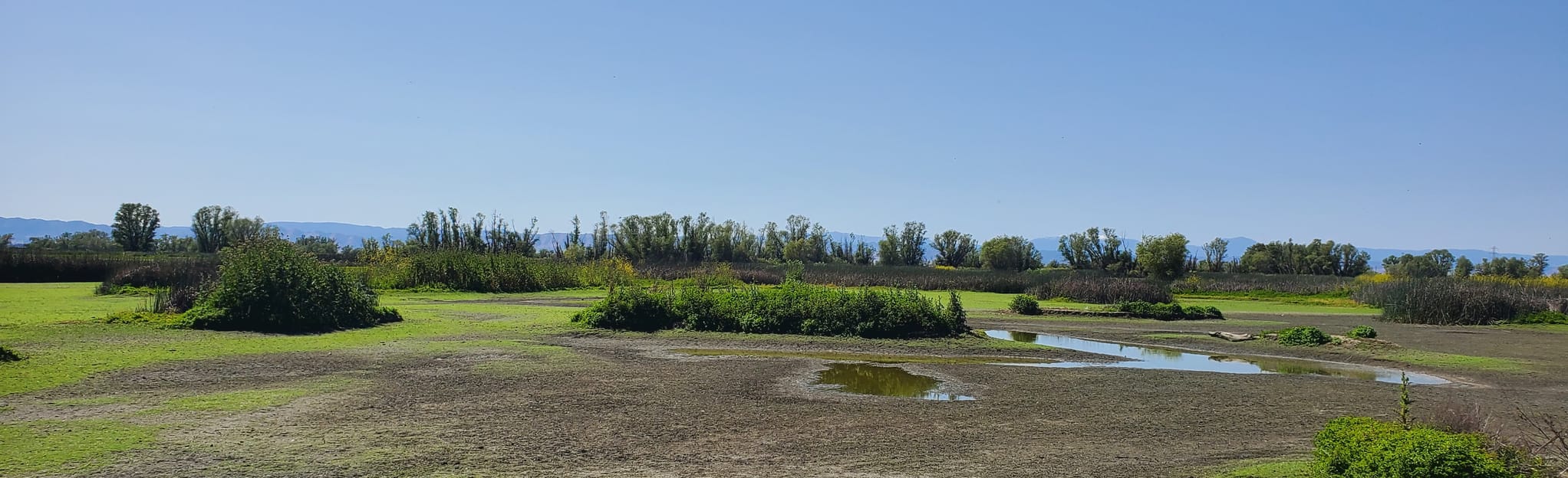 Colusa Wildlife Refuge Trail: 38 Reviews, Map - California | AllTrails