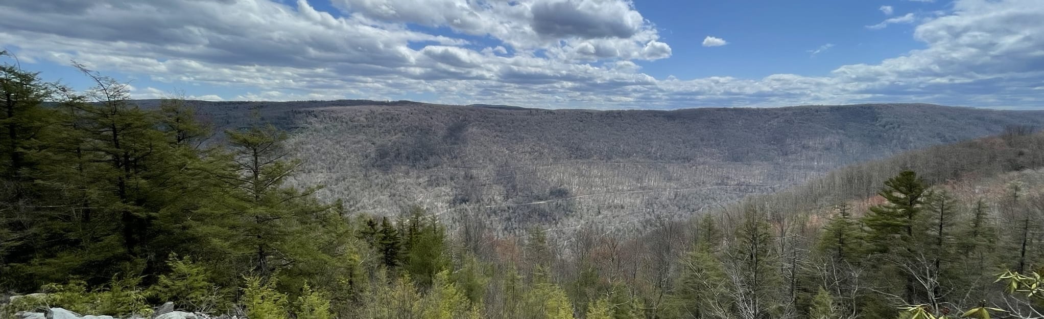 Allegheny Trail Loop : 42 Reviews, Map - West Virginia | AllTrails