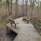Cato's Ridge, Massachusetts - 478 Reviews, Map | AllTrails