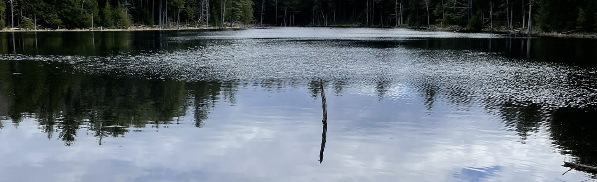 Meadows, Boulder, Ledge, Hill, Demon Pond Trail: 27 Reviews, Map - New ...