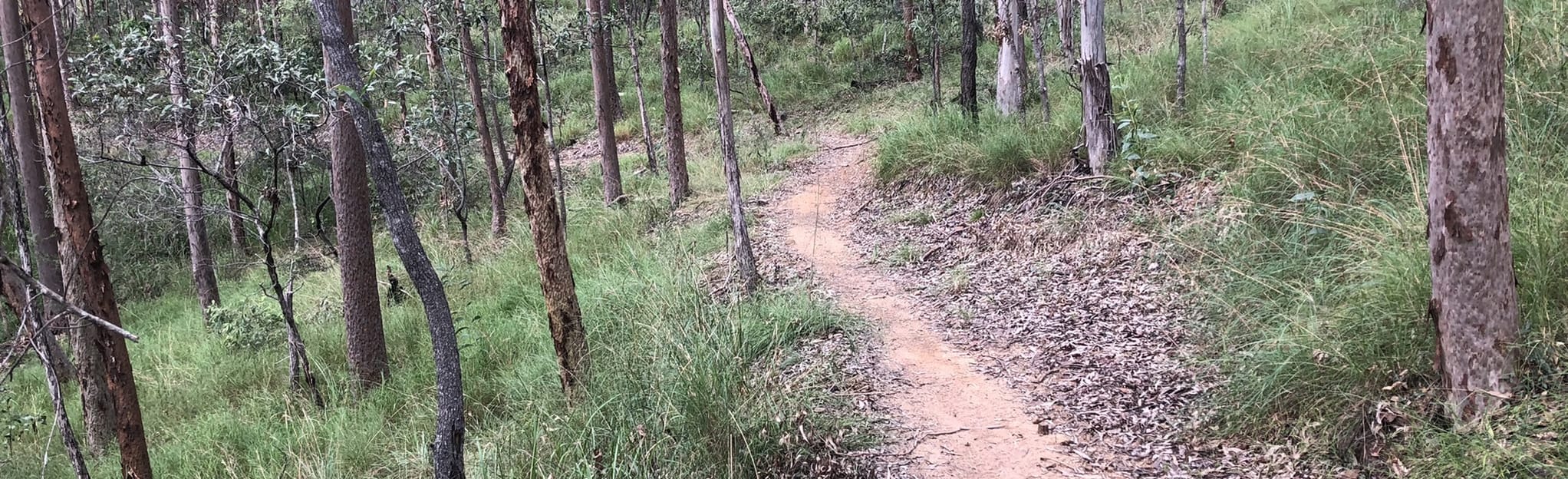 Spring Mountain Circuit, Queensland, Australia - 64 Reviews, Map ...