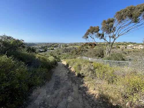 Best Wild Flowers Trails in Encinitas | AllTrails