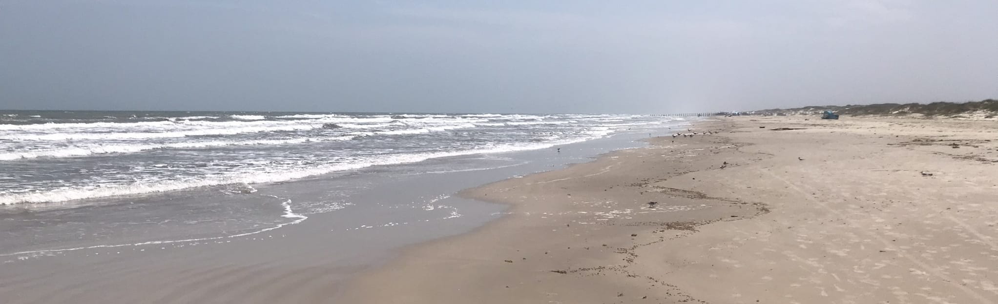 Malaquite Beach Walk - Texas | AllTrails