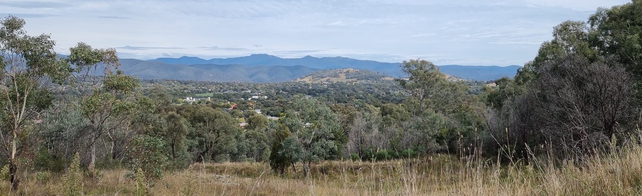 Mount Taylor Summit via Summit Fire Trail, Australian Capital Territory ...