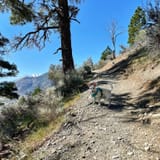 Eagle Ridge Trail, Nevada - 602 Reviews, Map | AllTrails