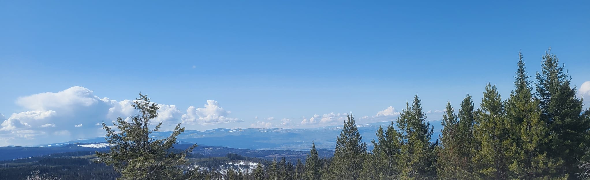 Swalwell Lake Trail: 20 Reviews, Map - British Columbia, Canada | AllTrails