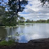 Bulimba Creek Bikeway, Queensland, Australia - 73 Reviews, Map | AllTrails