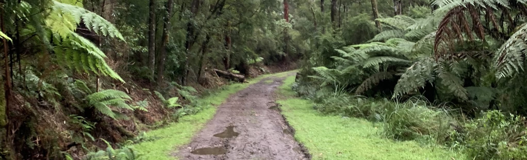 Elliot Falls via Shelly Beach and Elloit River: 17 Reviews, 134 Photos ...