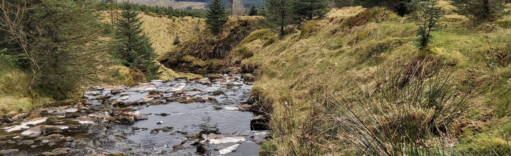 Trostan and Slievenanee Circular: 81 Fotos - Mid and East Antrim ...