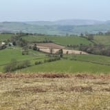 Hergest Ridge Circular, Herefordshire, England - 19 Reviews, Map ...