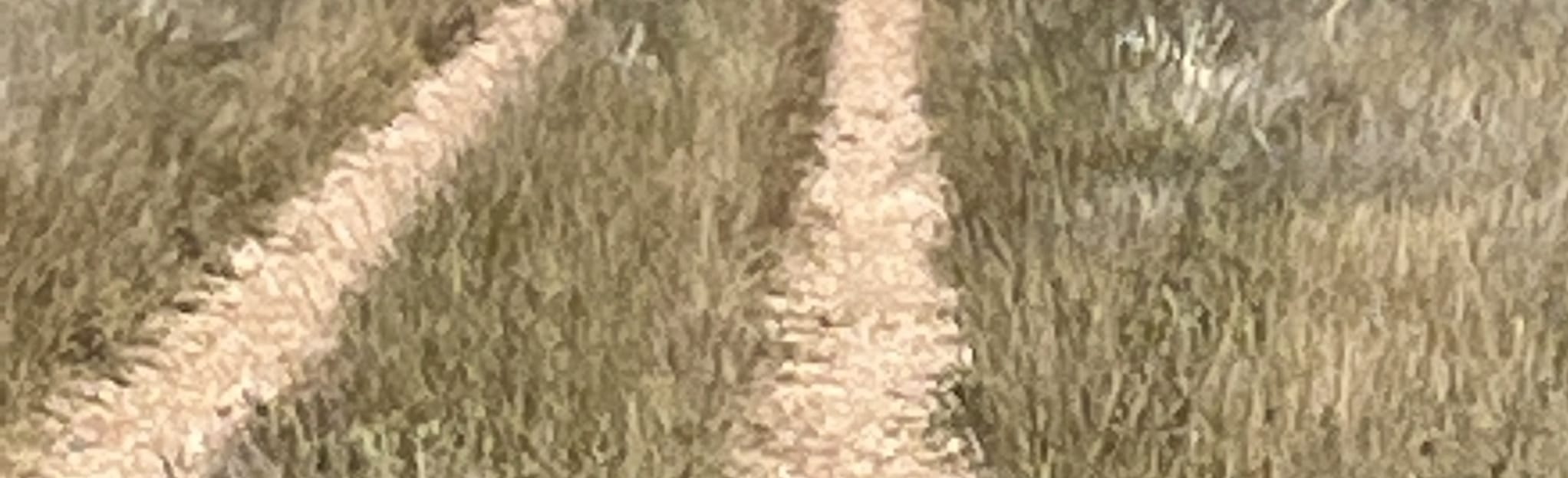 Oryx Trail, Hardap, Namibia - 4 Reviews, Map | AllTrails