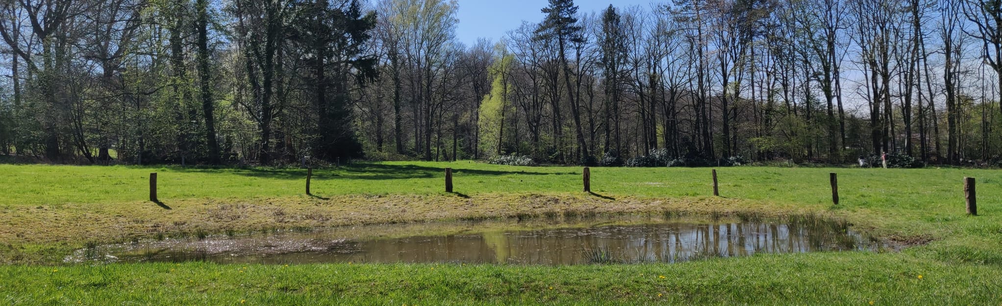 Kalheupink/Tankenberg Purple Trail, Overijssel, Netherlands - 9 Reviews ...