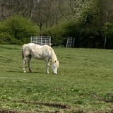 Burrough Hill and Leicestershire Circular Walk, Leicestershire, England ...