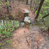 Webb Bridge Park Trail, Georgia - 685 Reviews, Map | AllTrails