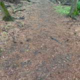 Webb Bridge Park Trail, Georgia - 685 Reviews, Map | AllTrails