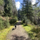 Glen Duror Circular, Argyll and Bute, Scotland - 43 Reviews, Map ...