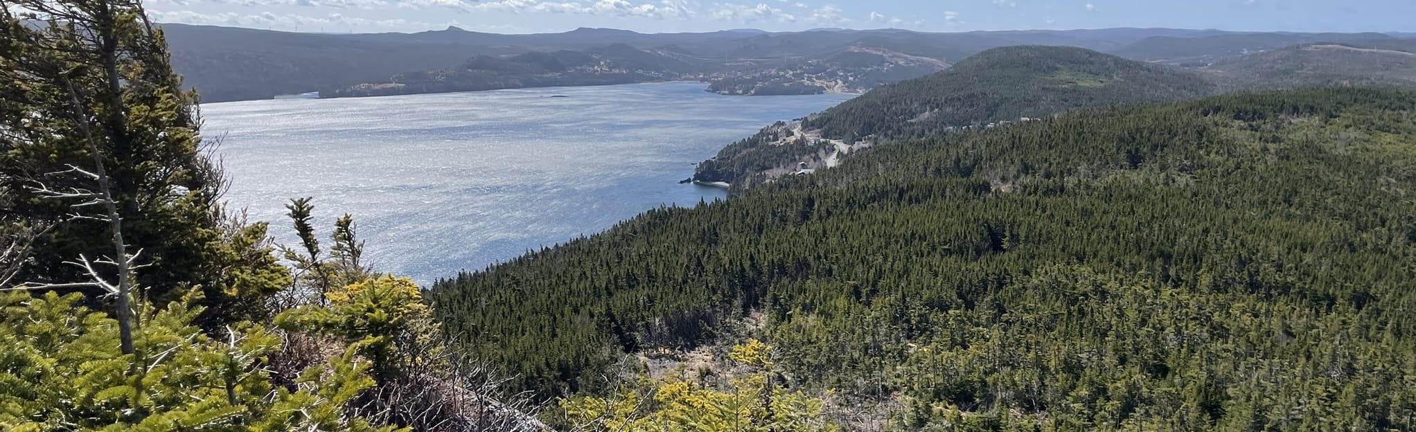 The Tolt Trail: 5 Reviews, Map - Newfoundland and Labrador, Canada ...