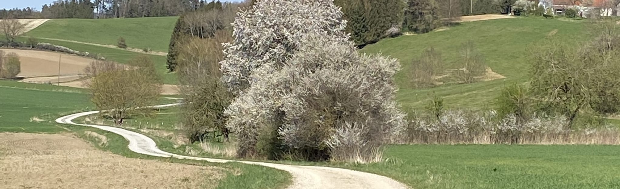 Hohenkammer und Petershausen, Bavaria, Germany - 2 Reviews, Map | AllTrails