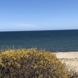Sconset Bluff Path, Massachusetts - 311 Reviews, Map | AllTrails