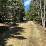 Little Long Pond, Maine - 318 Reviews, Map | AllTrails